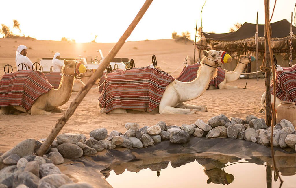 Bedouin Culture Safari Dubai